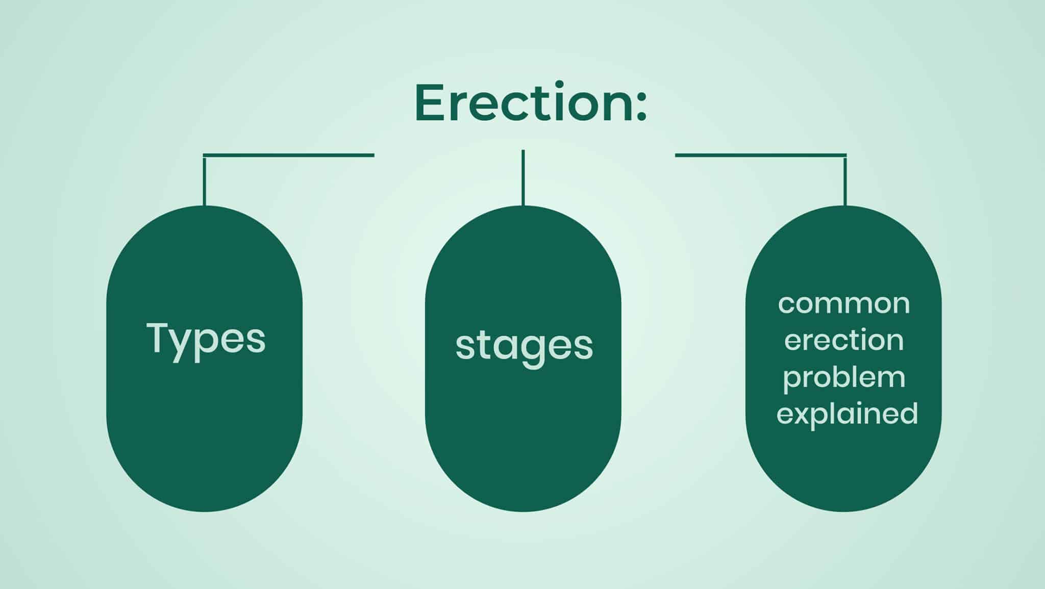 Erection: Types, Stages, and Common Erection Problems Explained