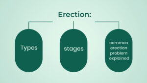 Erection: Types, Stages, and Common Erection Problems Explained